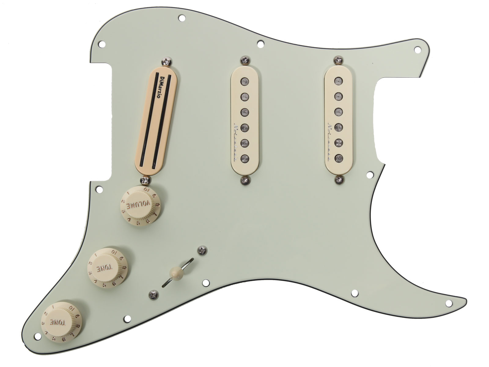 Fender Loaded Pickguard Mint Green at Kevin Davidson blog