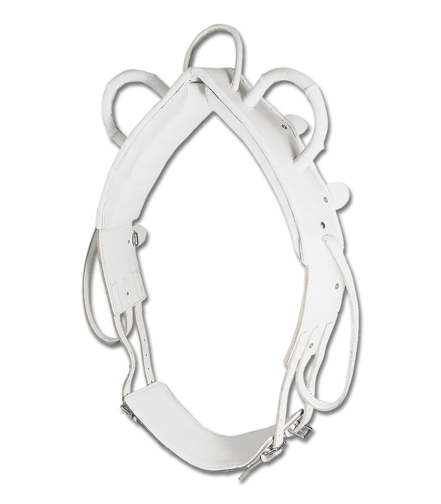 Waldhausen Vaulting Surcingle- Vaulting Tack