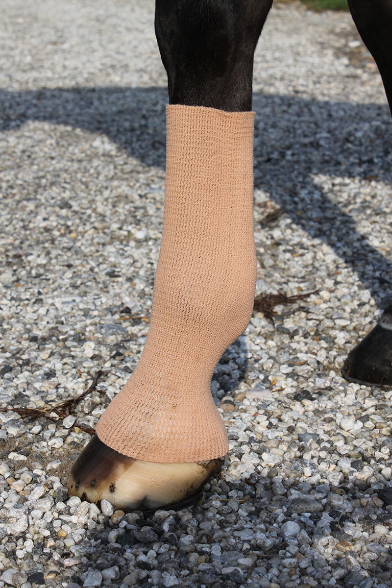EquiFit Gel Sox for Horses - Horse Leg Wraps