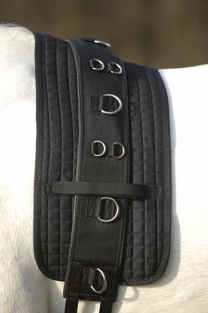 AWA Quilted Surcingle Pad- Horse Lunging Tack