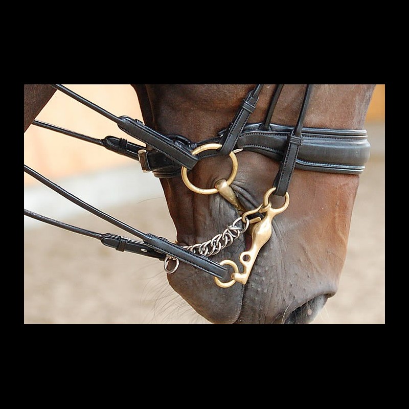 Dy'on Large Crank Double Bridle- Dressage Bridles