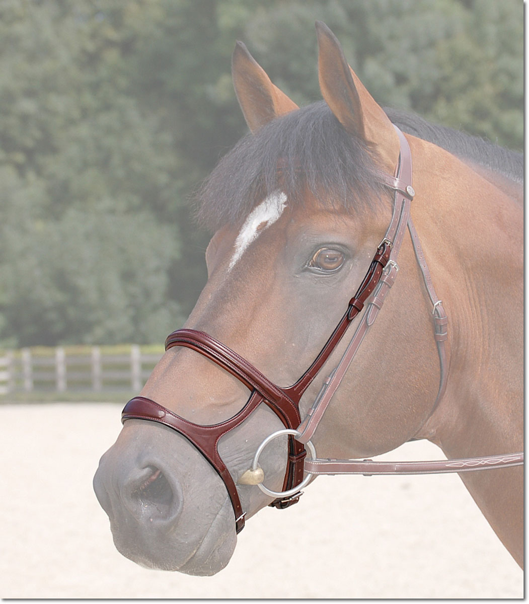 Dy'on Large Crank Double Bridle- Dressage Bridles