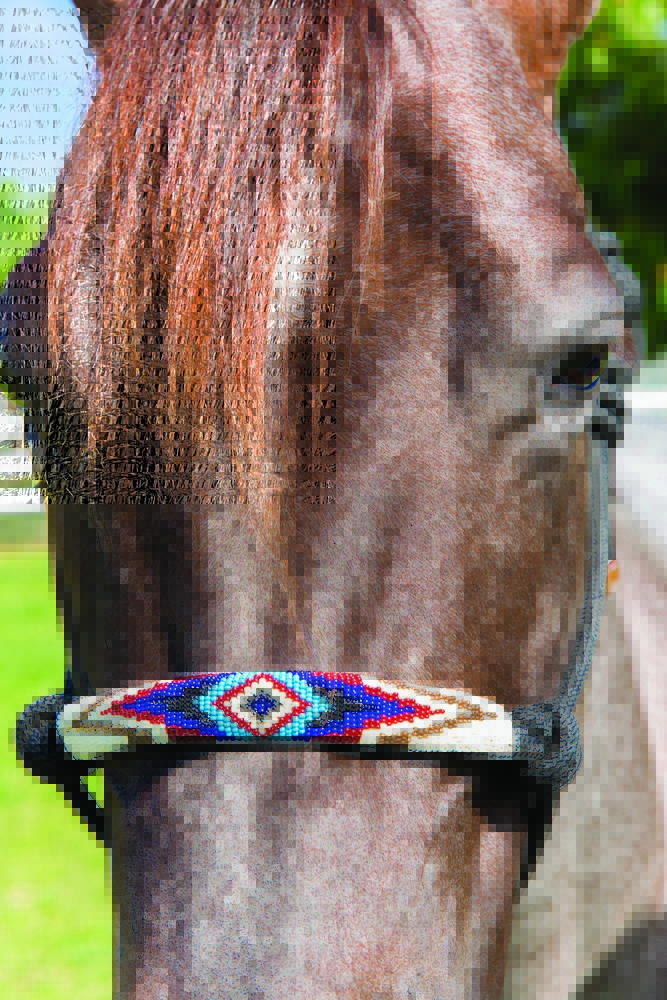 PC Beaded Rope Halter & Lead- Horse Tack