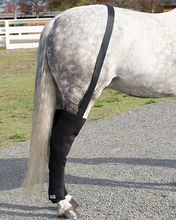 Ice Horse Stifle Wrap- Horse Cold Therapy