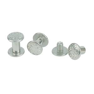 Plain Brass Chicago Screw Set - Tack Hardware