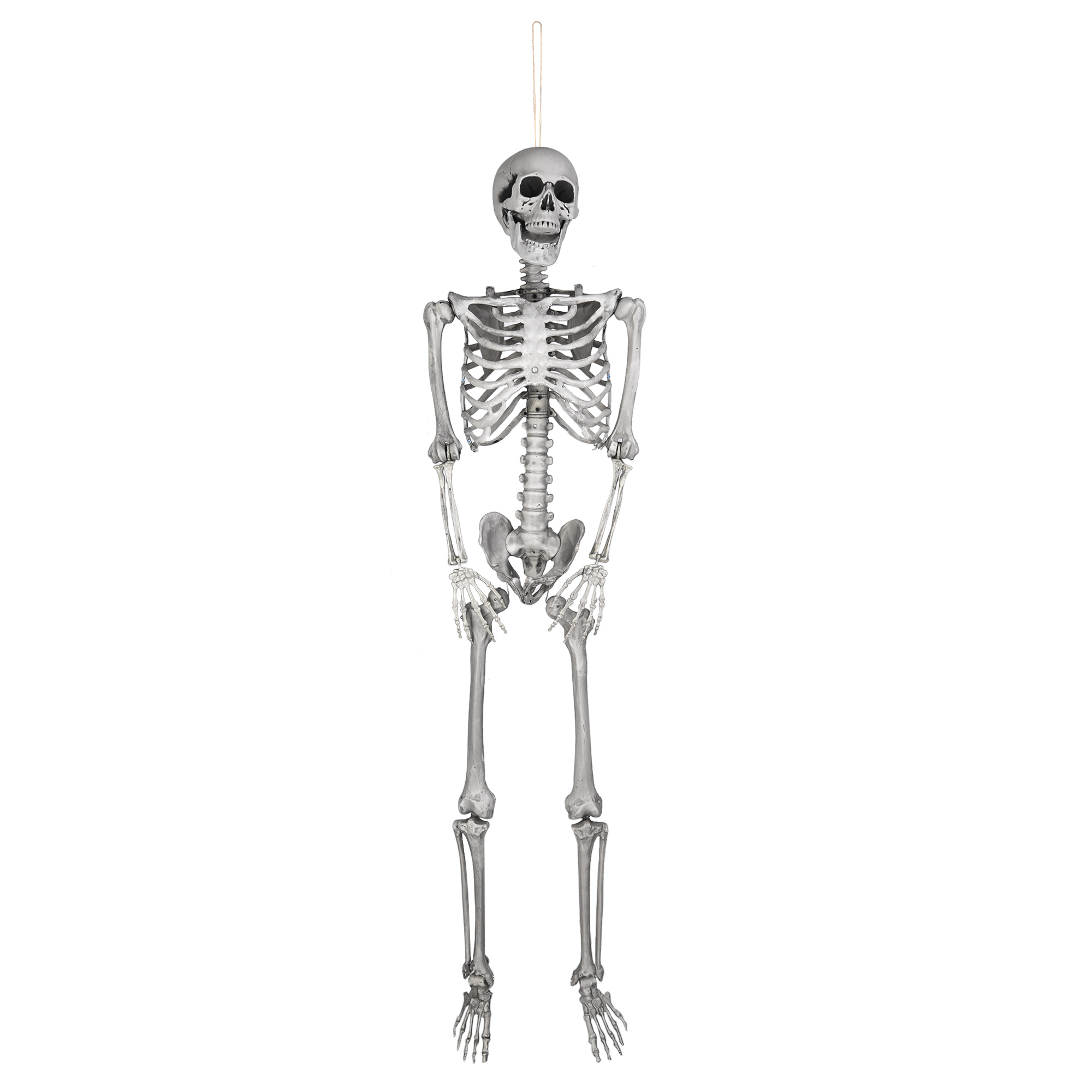 5 FT Full Body Skeleton Props Movable Joints Haunted House Halloween | eBay