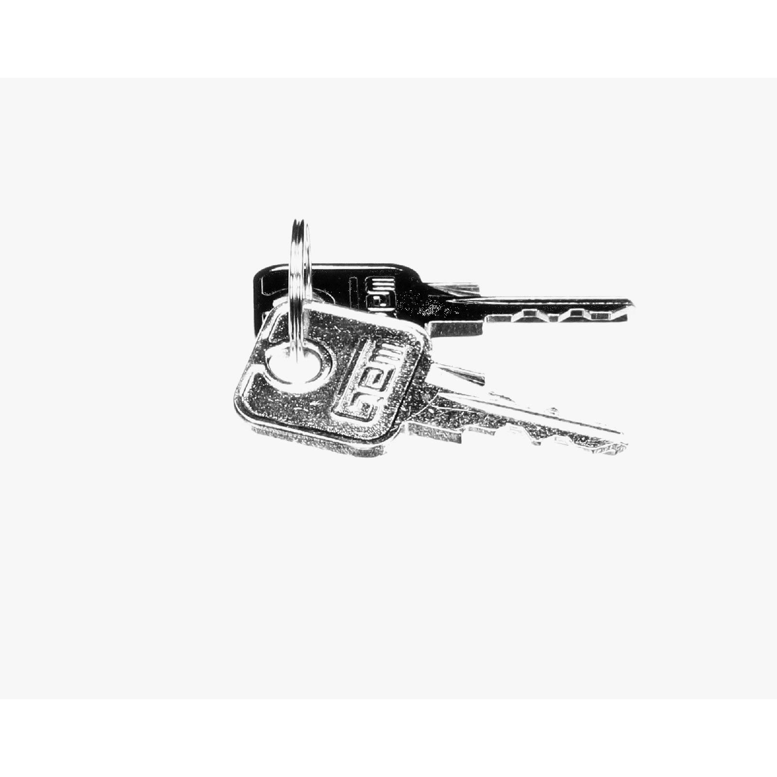 DKEY01-00 Everest Door Key Set (2 Keys) Genuine OEM EVRDKEY01-00 for ...
