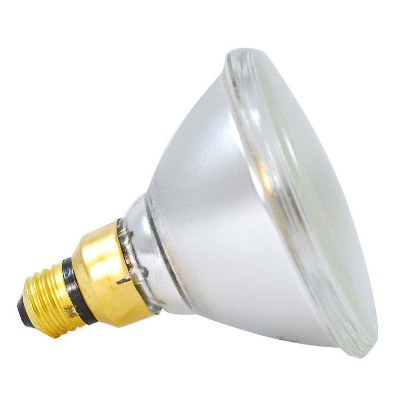 Par 38 Light Fixture Size