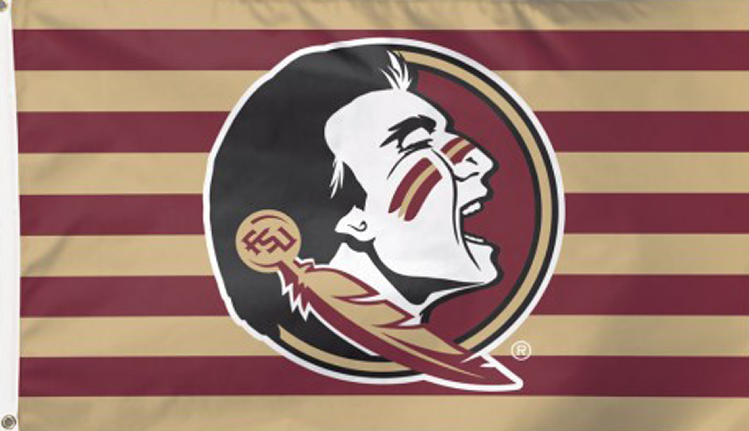 Florida State University Seminoles Deluxe Grommet Flag Licensed 3' x 5 ...