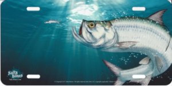 Advanced Graphics Tarpon Fish Metal License Plate