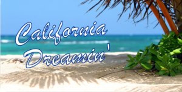 California Dreamin' Beach Scene Photo License Plate 29741594517| eBay