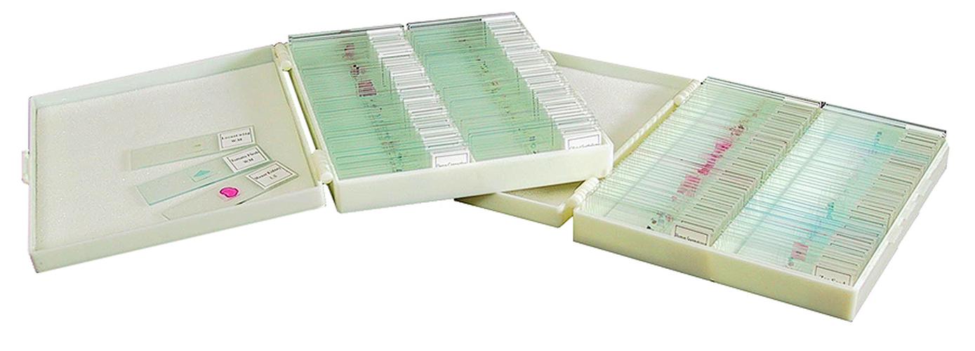 200 Prepared Microscope Slides Anatomy Pathology Botany | eBay