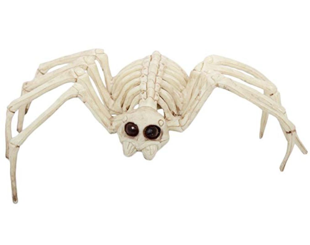 6" Mini Skeleton Spider Dead Bones Halloween Prop Tarantula Haunted ...