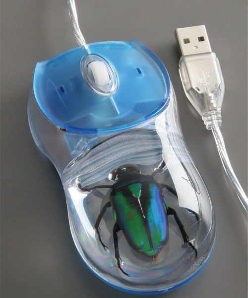 Green Beetle Real Bug Embedded in Clear Plastic USB Computer Mouse | eBay