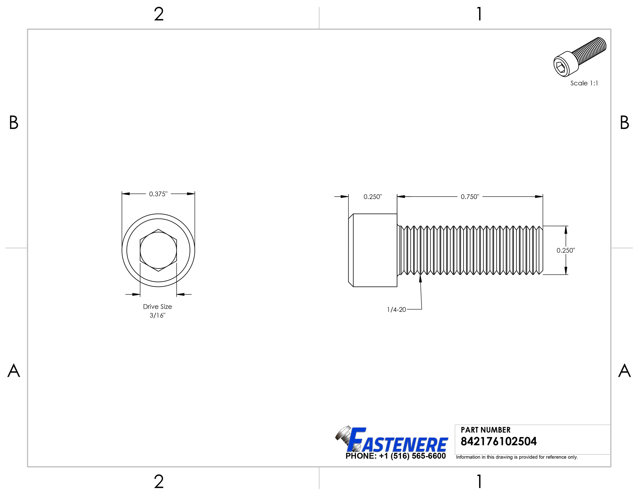 1 4 20 Socket Head Cap Screws Stainless Steel Allen Bolts All Lengths
