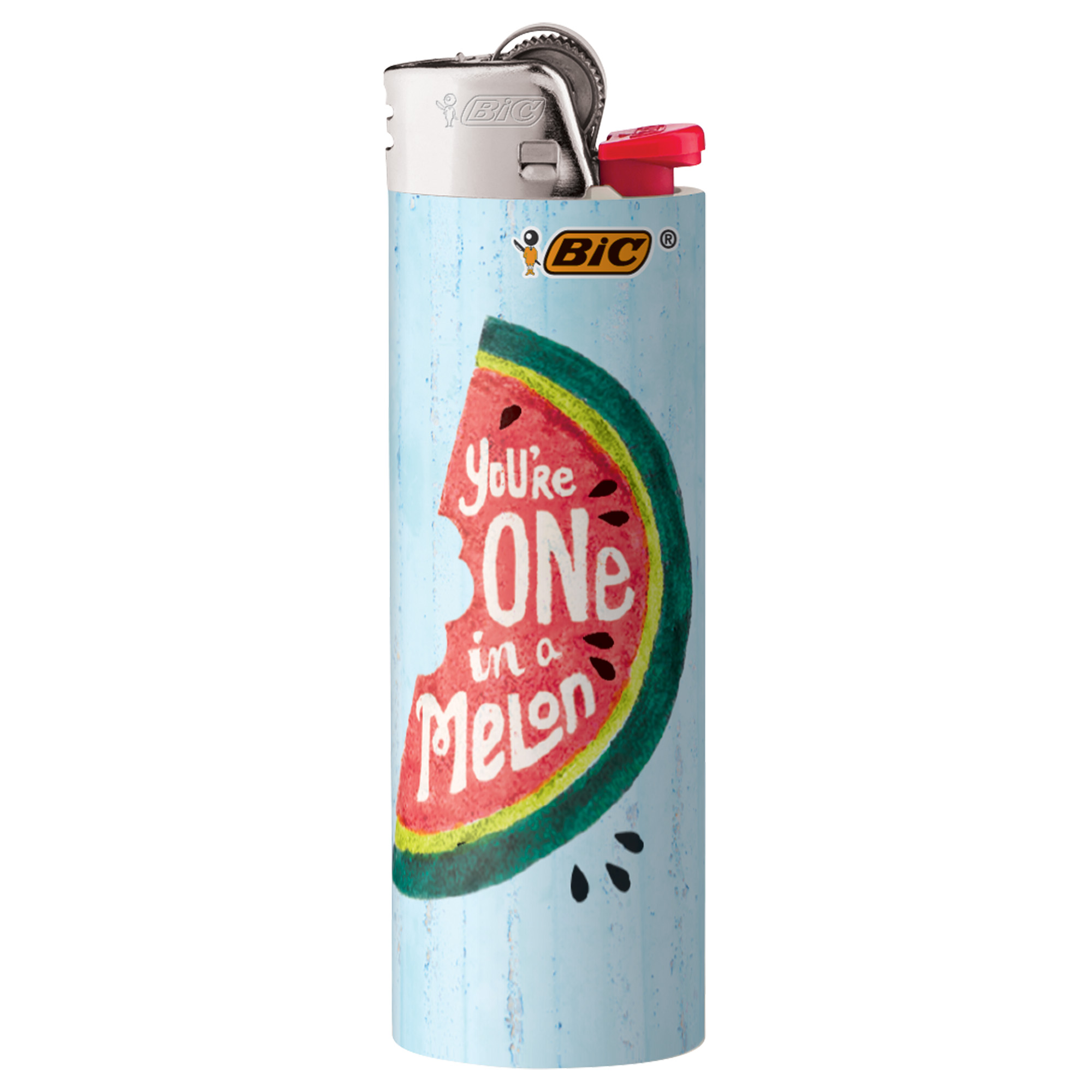 BIC Special Edition Series Lighters, Set of 8 Lighters | eBay
