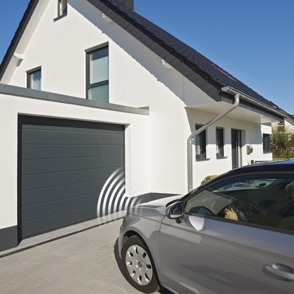 HORI Garagentore Sektionaltor 40, 60 mm M-, XL-Sicke inkl. Motor ...