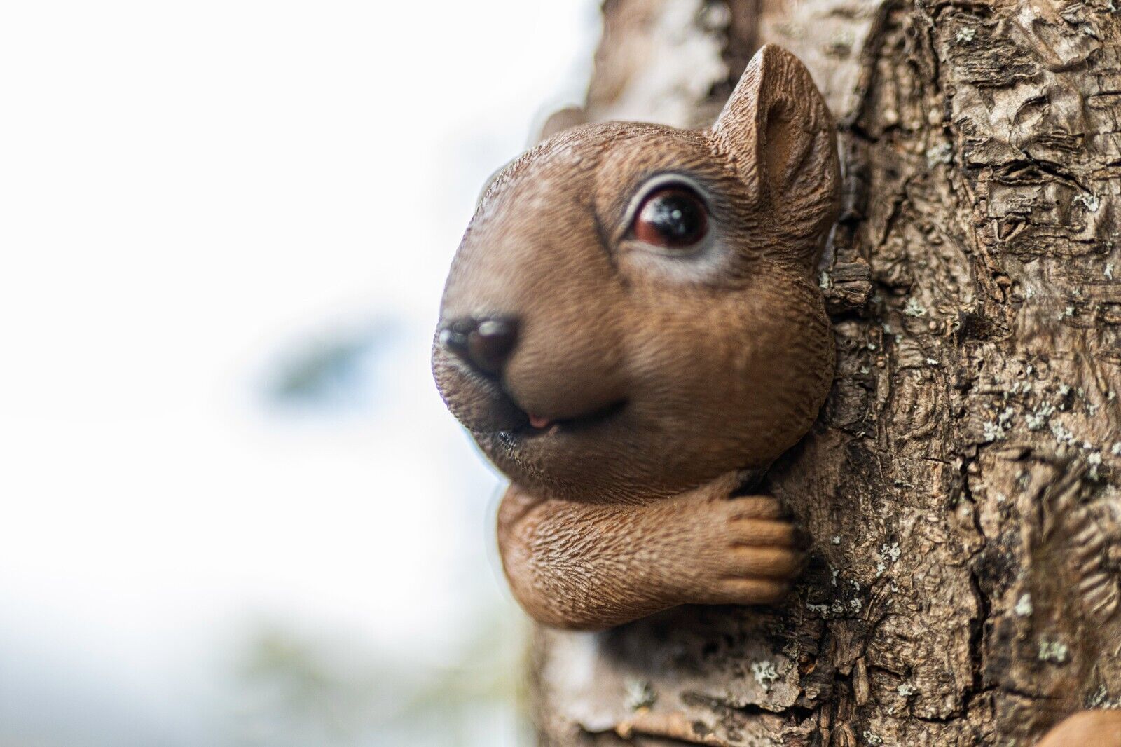 Garden Tree Peeker Ornaments Animal Branch Huggers Outdoor Decor ...