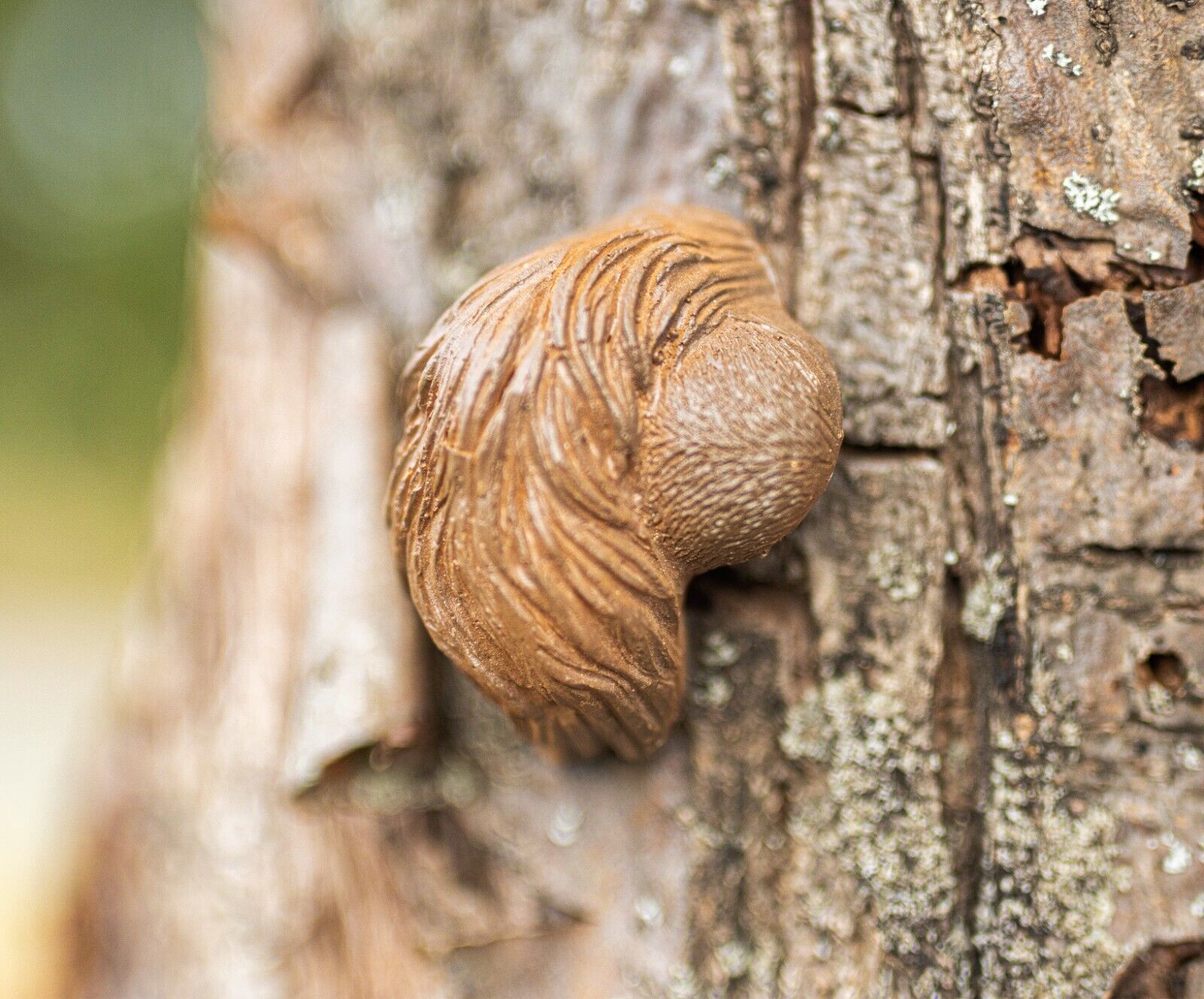 Garden Tree Peeker Ornaments Animal Branch Huggers Outdoor Decor ...