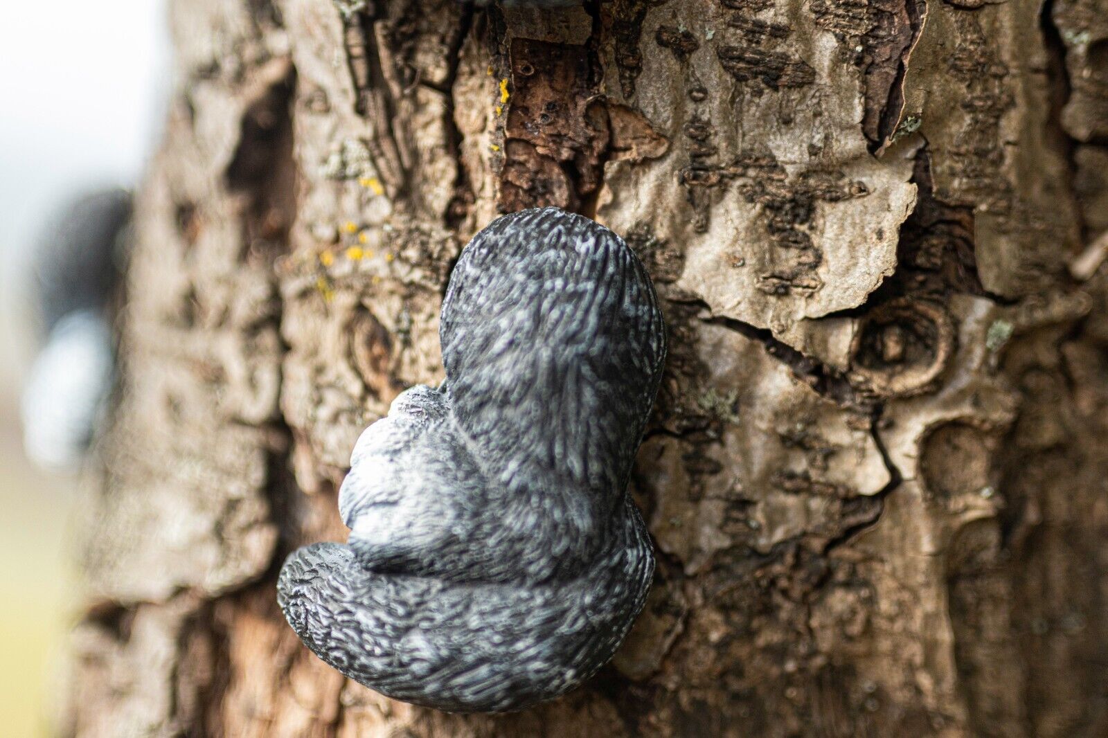 Garden Tree Peeker Ornaments Animal Branch Huggers Outdoor Decor ...