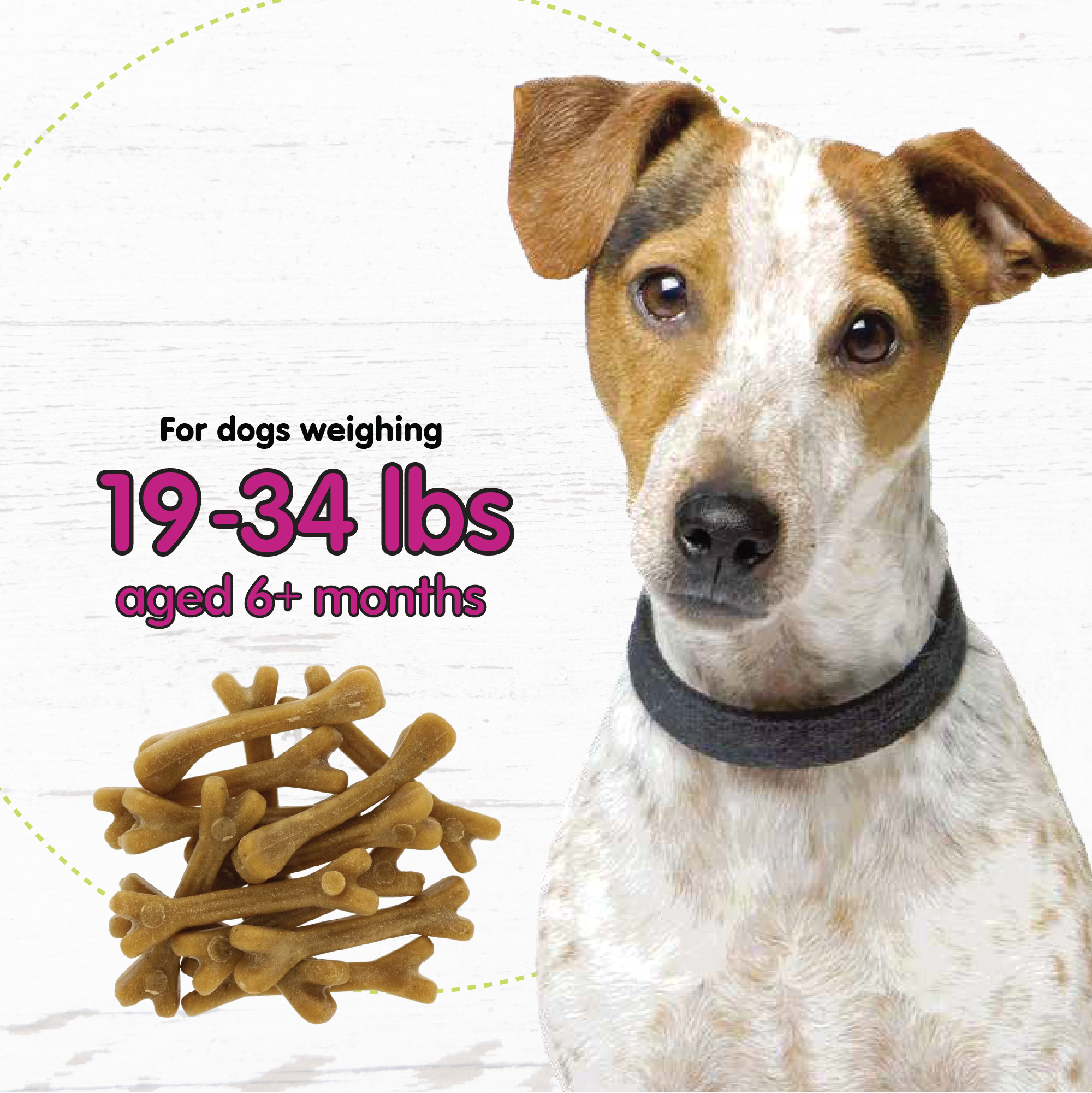 Fido Belly Bones Treats 8oz Bag-small for sale online | eBay