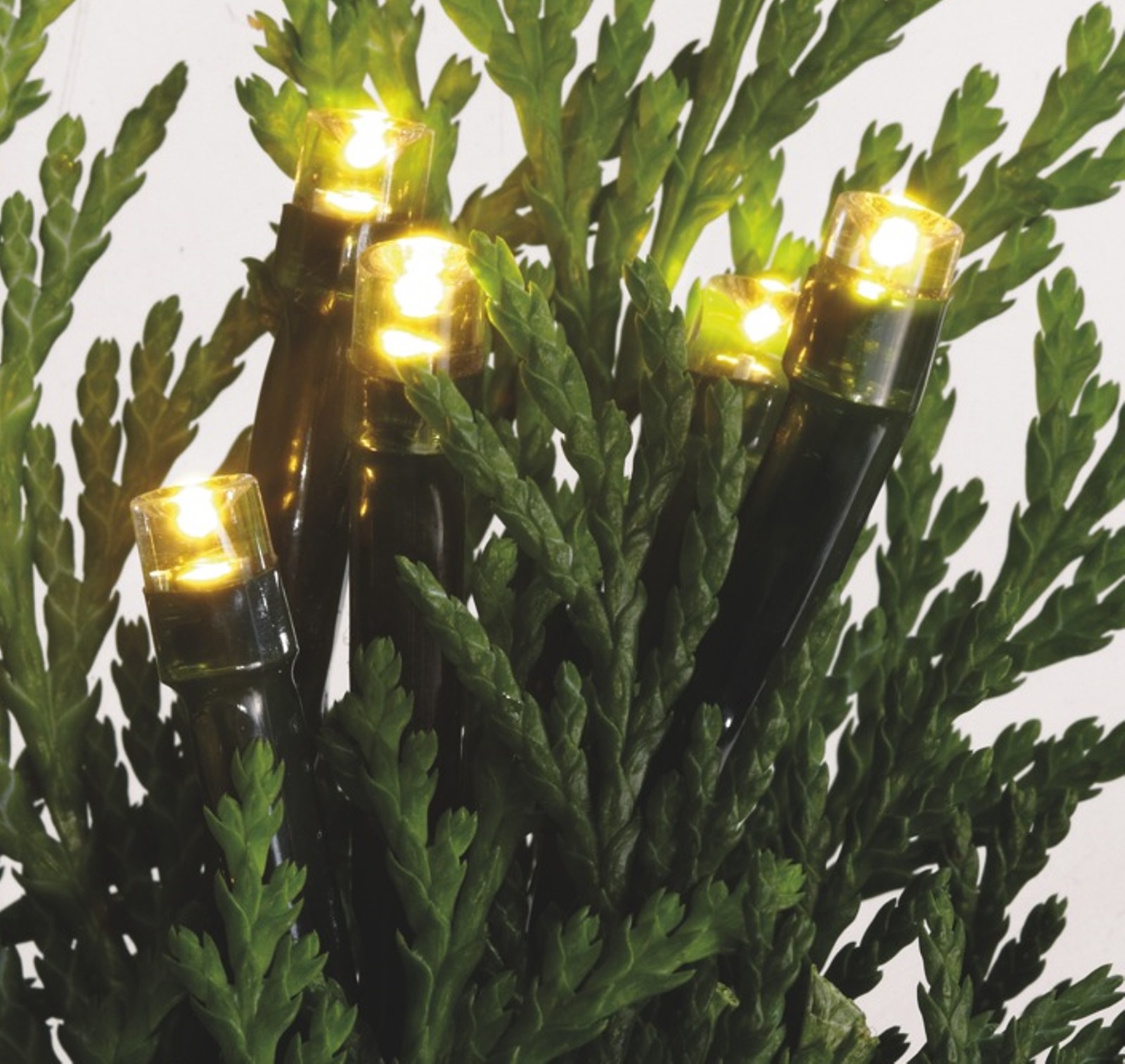 Antiqued Queen Bee Ceiling Fan Light Dimensional Pull - Mary B ...