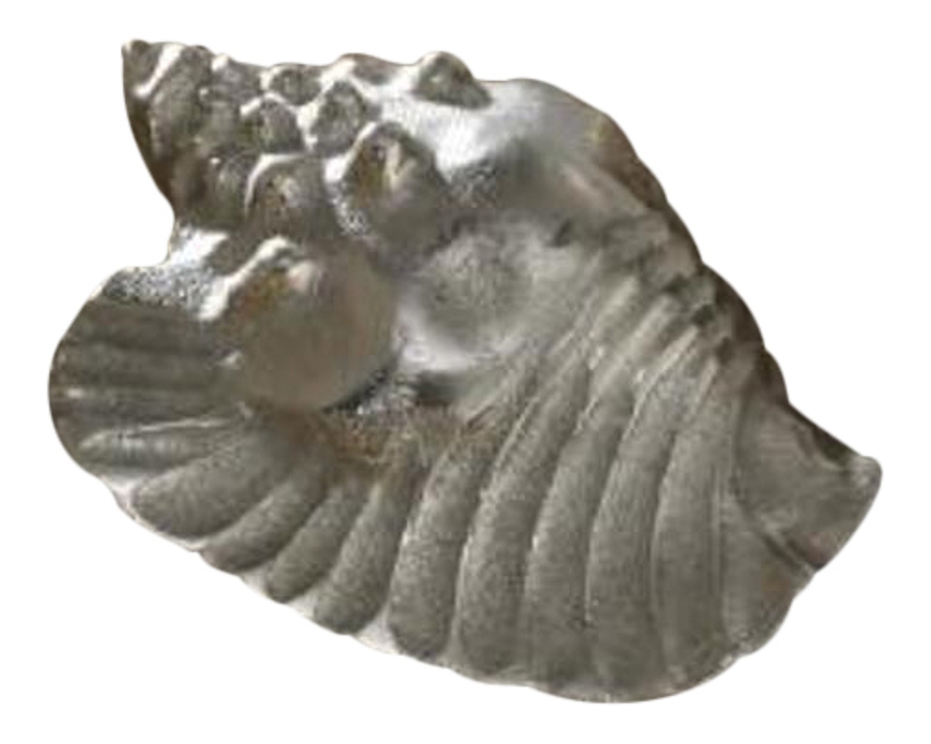 Polished Aluminum Conch Shell Tabletop Coffee Table Shelf Decor Park ...