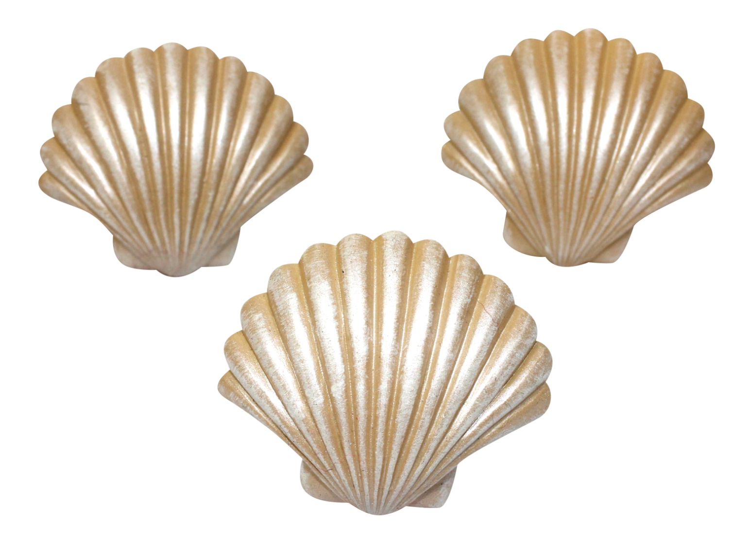 Coastal Shaped Scallop Seashell Drawer Cabinet Pull Polystone 1.75 Inch ...