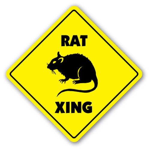 RAT CROSSING Sign novelty gift animals rodent trap criminal gray vermin ...
